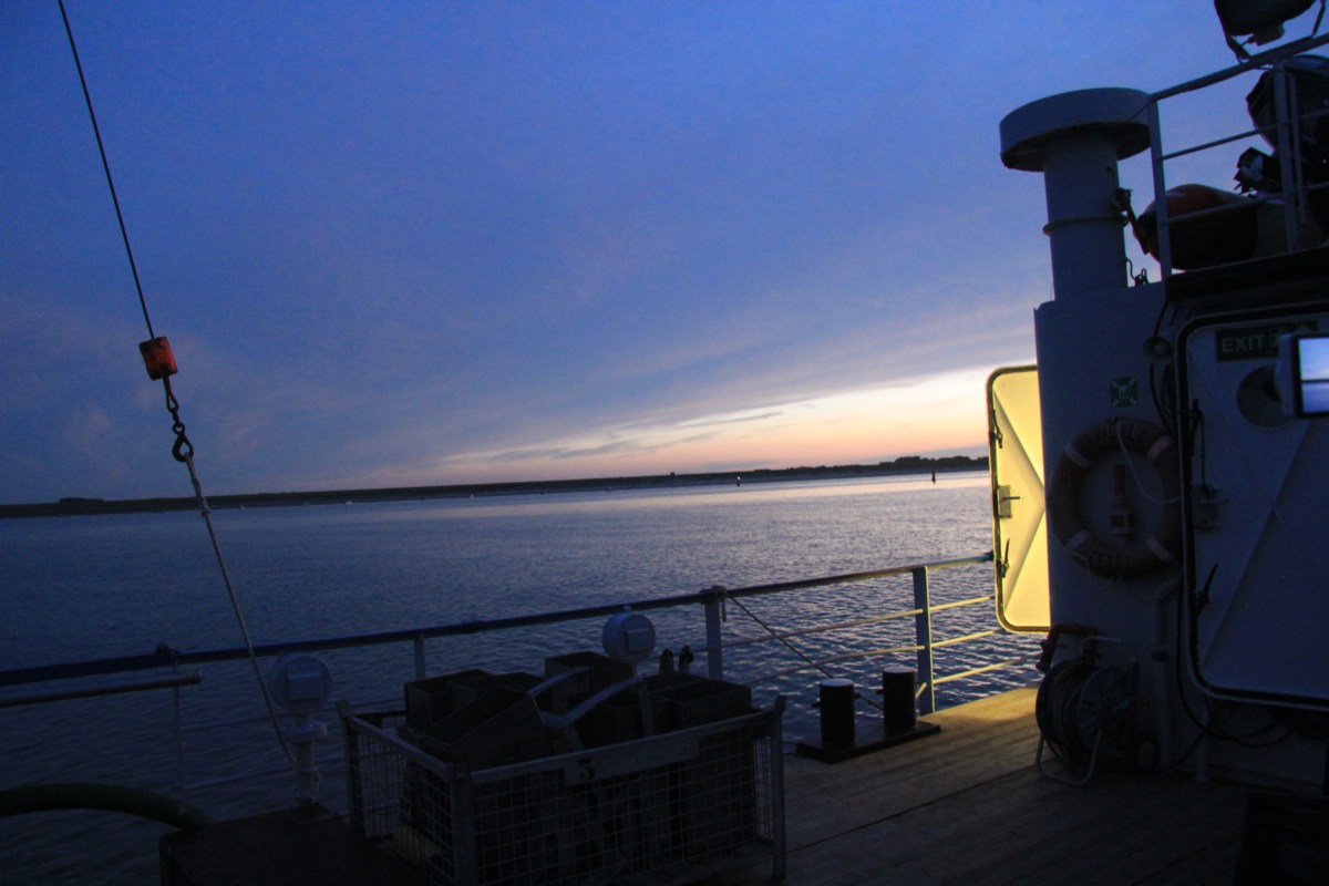 Studies and Field Work Services – Hub-Terra